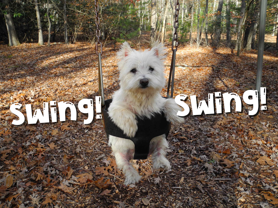 好和弦教你怎麼 Swing！